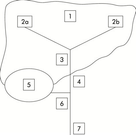 Guidelines For The Diagnosis And Treatment Of Cholangiocarcinoma Consensus Document Pmc