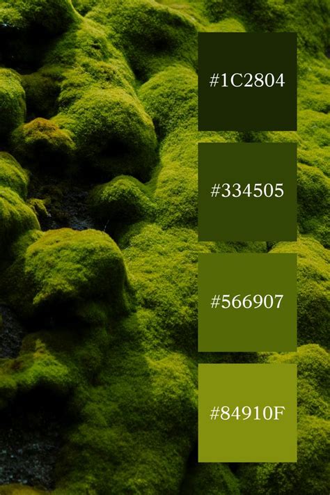 Moss Green Color Palette Color Scheme Generator Farbinspiration Grüne ästhetik Ästhetik