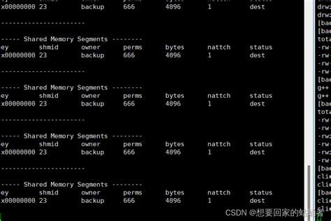 【linux】共享内存（超详细！） linux 共享内存 csdn博客