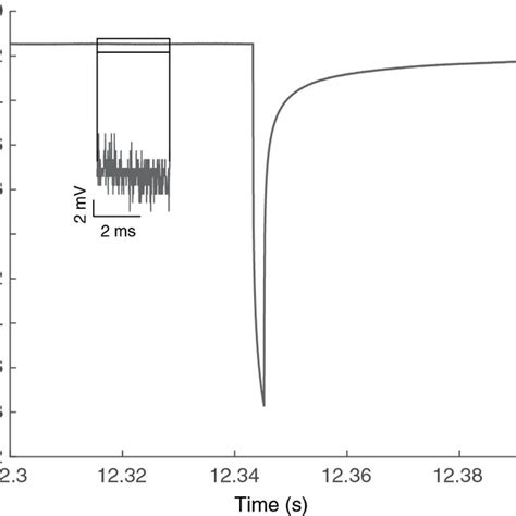 Measured Stimulus Signal Of The Stimulus Generator Inset Illustrates Download Scientific