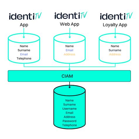 Unleashing The Power Of Clean Data And Ciam For Hyper Targeted Campaigns And Maximized Roi Identit