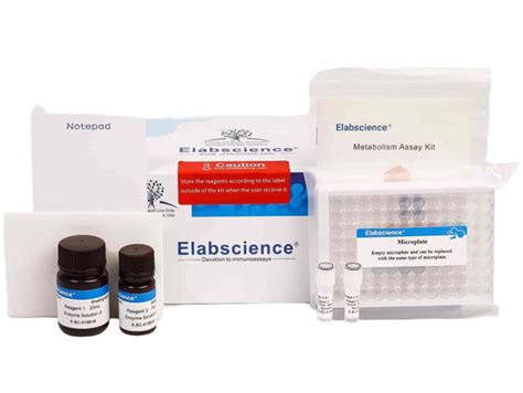 D Lactic Acid Lactate La Colorimetric Assay Kit Elabscience Biotechnology