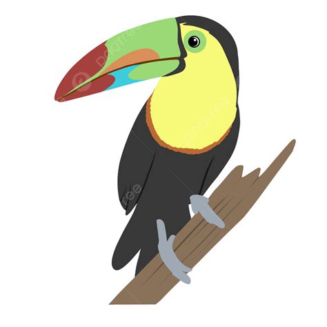 Cute Toucan Clipart