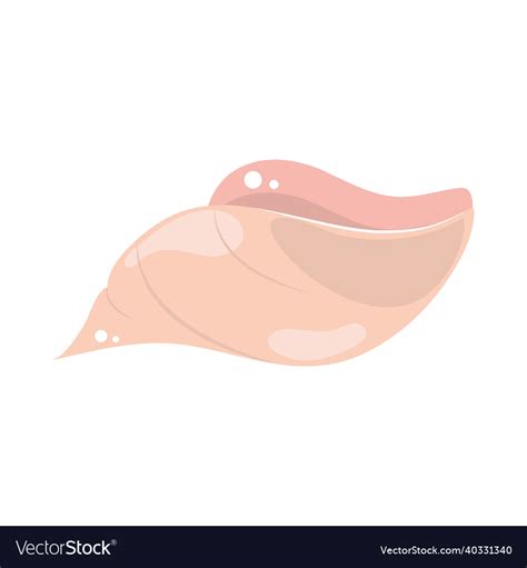 Shell Icon Royalty Free Vector Image Vectorstock