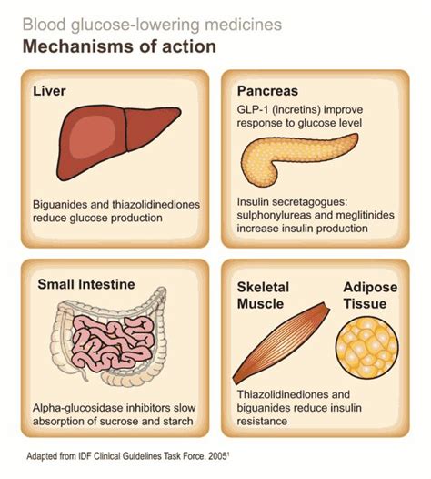 Nurseupdate Oral Hypoglycemic Agents Classification
