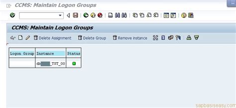 distributing sap user using logon group sap basis easy