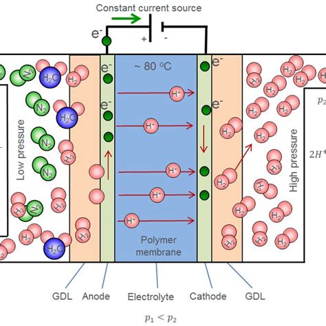 Pdf Hydrogen Pump For Hydrogen Recirculation In Fuel Cell Vehicles
