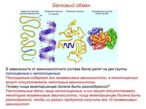 Обмен веществ. Витамины - online presentation