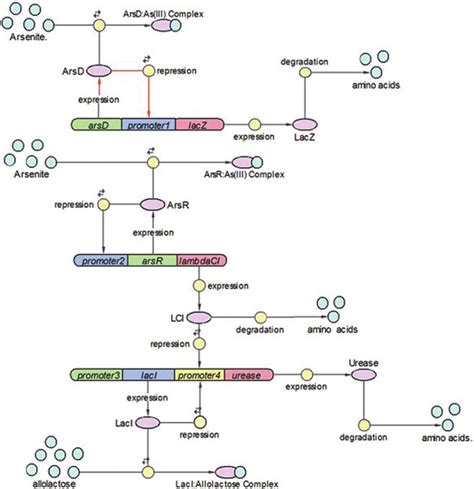 Schematic Diagram Of The Complete Biosensor System Download Scientific Diagram