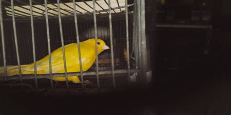 Morgan Stanleys Srikanth Sankaran Floating Rate Leveraged Loans Are