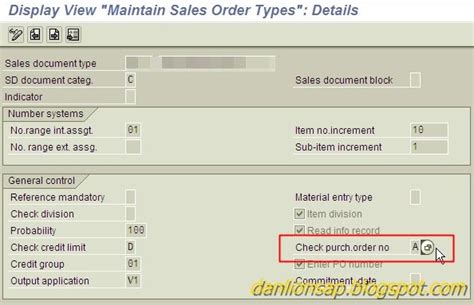 Dan Lion SAP Duplicate Purchase Order Number VBAK BSTNK In Sales Order