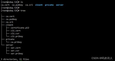 nginx实现tcp代理并支持tls加密实验 nginx tls csdn博客