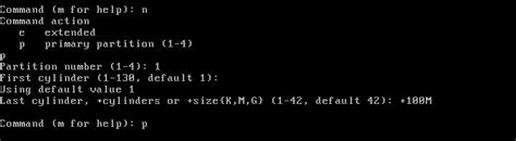 Create Partition For RAID In Linux Unix