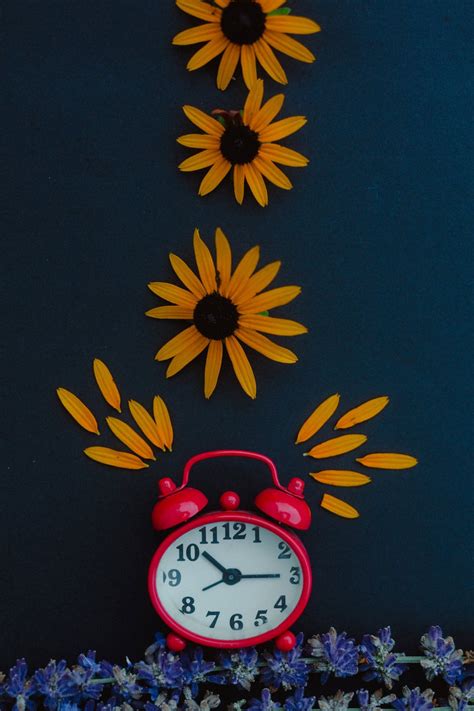 Free Picture Old Fashioned Dark Red Analog Alarm Clock And Orange Flowers On A Dark Background