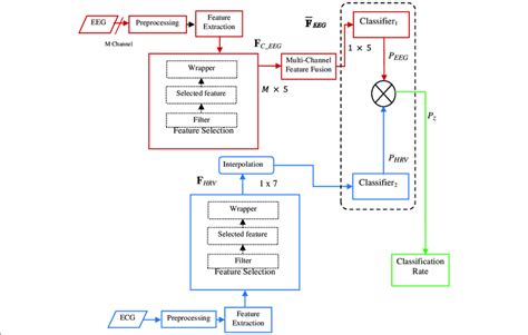 flow chart for newborn seizure detection based on eeg hrv download