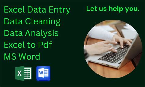 do data entry cleaning pivot table and word editing by ayesha6946