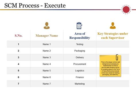 Scm Process Execute Ppt PowerPoint Presentation File Inspiration