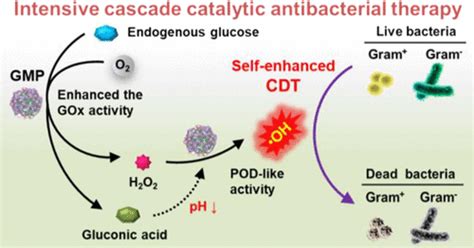 Enhancing Enzymatic Activity Of Glucose Oxidase By Metalorganic Framework Nanocarriers For