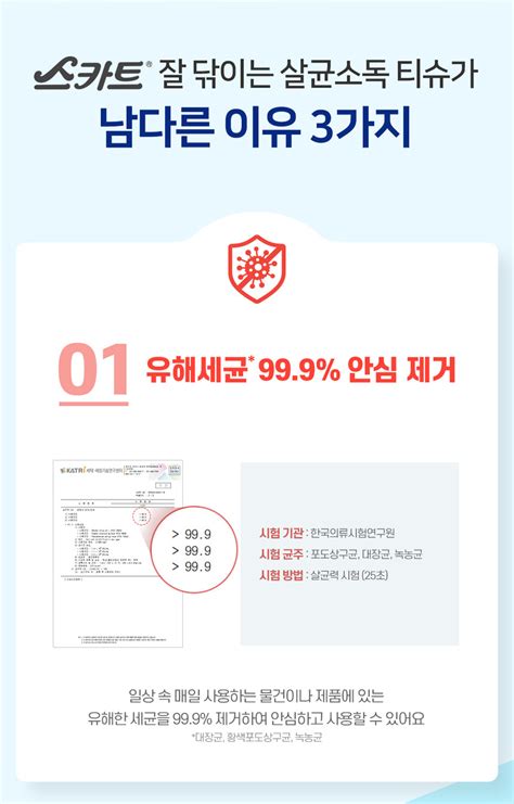 락스·살균소독제 잘 닦이는 살균 소독 티슈 60매x4팩 오늘의집 쇼핑