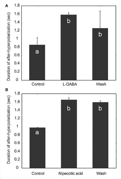 Blocking Gaba Transporters Increases The Duration Of Download