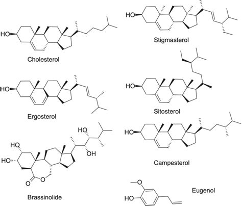 Comparison Of Sterol Structures Between Fungi Mammals And Plants The Download Scientific