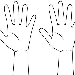 The Same Basic Contour Is Used In Both Images But The Image On The Download Scientific Diagram