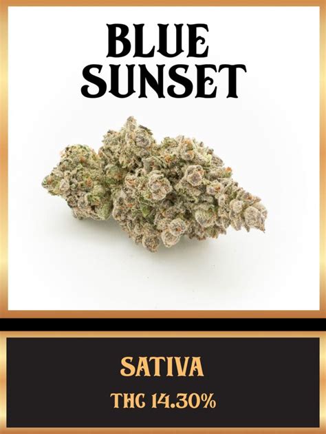 Blue Sunset Strain Wonderland Bangkok