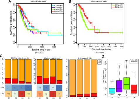 Kaplan Meier Curves And Mutation Status Of The Four Immune Subtypes
