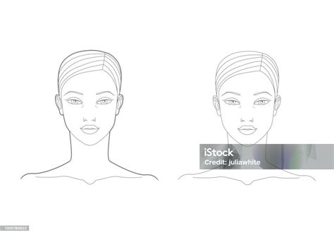 앞면에 있는 여성의 얼굴과 목의 템플릿 의학 및 미용 제도 그래픽 선 드로잉 벡터 그림입니다 사람 얼굴에 대한 스톡 벡터 아트 및 기타 이미지 Istock