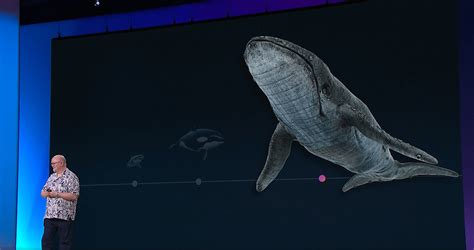 Shark Led To A 175 Billion Parameter Model Orca Led To A 1 76 Trillion Parameter Model What