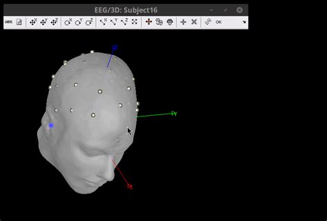 EEG Chan Locs For Source Analysis Discussions Brainstorm