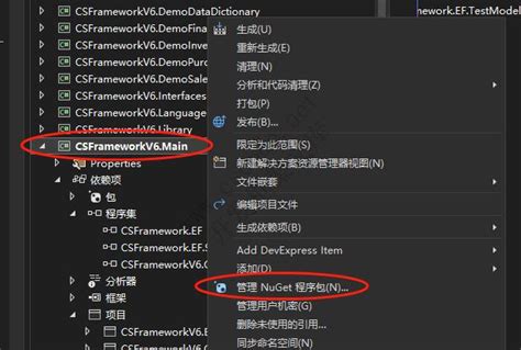 csframeworv6试用版开发指南 main主程序安装csframework ef数据库框架 c s开发框架 c s框架网