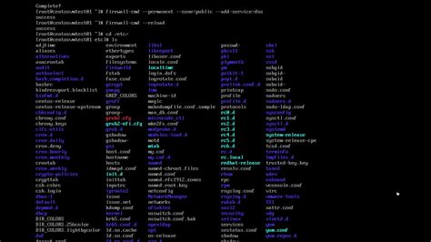 Installing A Basic Dns Server Into Centos 8 Linux With Test 6