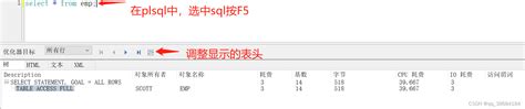 oracle 数据库 执行计划 oracle c sqlplus 执行计划 CSDN博客