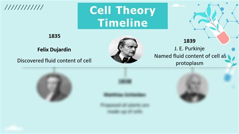 Solution Cell Theory Structure Function Cell Types Pro And Eukar