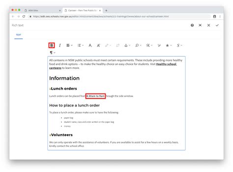 Rich Text Editor School Website Service Training And Support