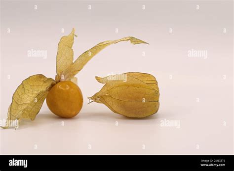 Physalis Fruit Golden Berries Packed With Health Benefits Typical