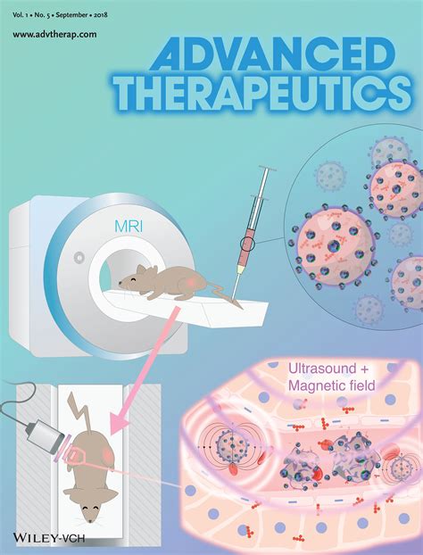 Multilayer Microcapsules Ultrasound‐triggered Delivery Of Anticancer