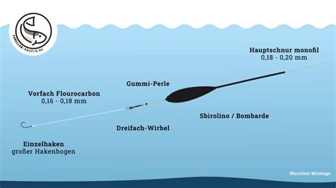 Sbirolino Montage Angeln Mit Sbirolino Forellen Angeln De