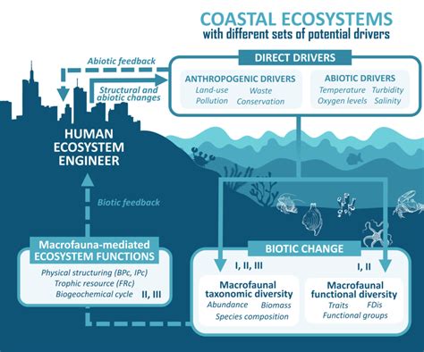 Conceptual Diagram Of The Thesis Highlighting How The Original Papers Download Scientific