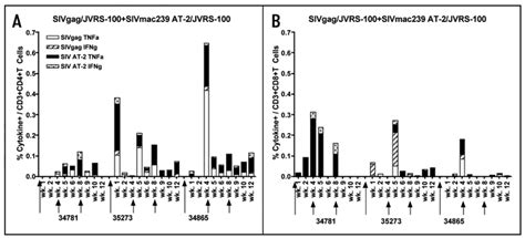 Siv Specific T Cell Responses After Vaccination With Sivgag Cldc And