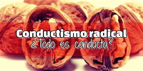 Conductismo Radical ¿todo Es Conducta