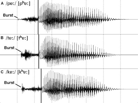 Macquarie University The Waveforms Of Speech