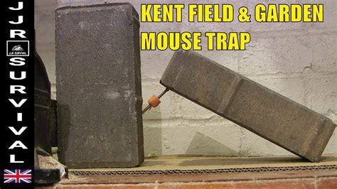 Kent Field And Garden Mouse Trap Youtube