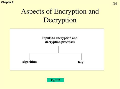 Ppt Plain Text Powerpoint Presentation Free Download Id3404239