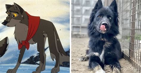 Хүүхэлдэйн кинон дээр гардаг 17 нохой бодит амьдрал дээр ямар харагддагийг нь хараад та лав