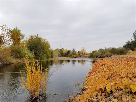 Premium Photo Fall Stream