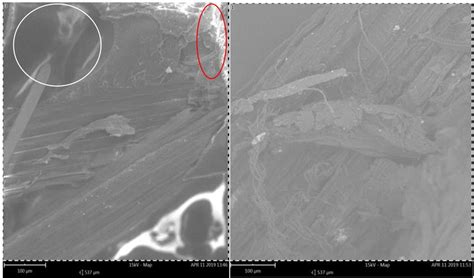 Sem Micrographs Of A Untreated And B Treated Composites Download