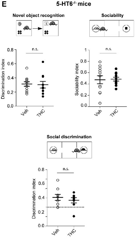 E The Authors Correct The Labeling Of The Y Axis In The Bottom Panel Download Scientific