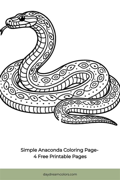 Simple Anaconda Coloring Page 4 Free Printable Pages Coloring Pages